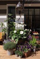 Um pátio com diversos vasos de plantas, um candeeiro pendente e uma cadeira vermelha.