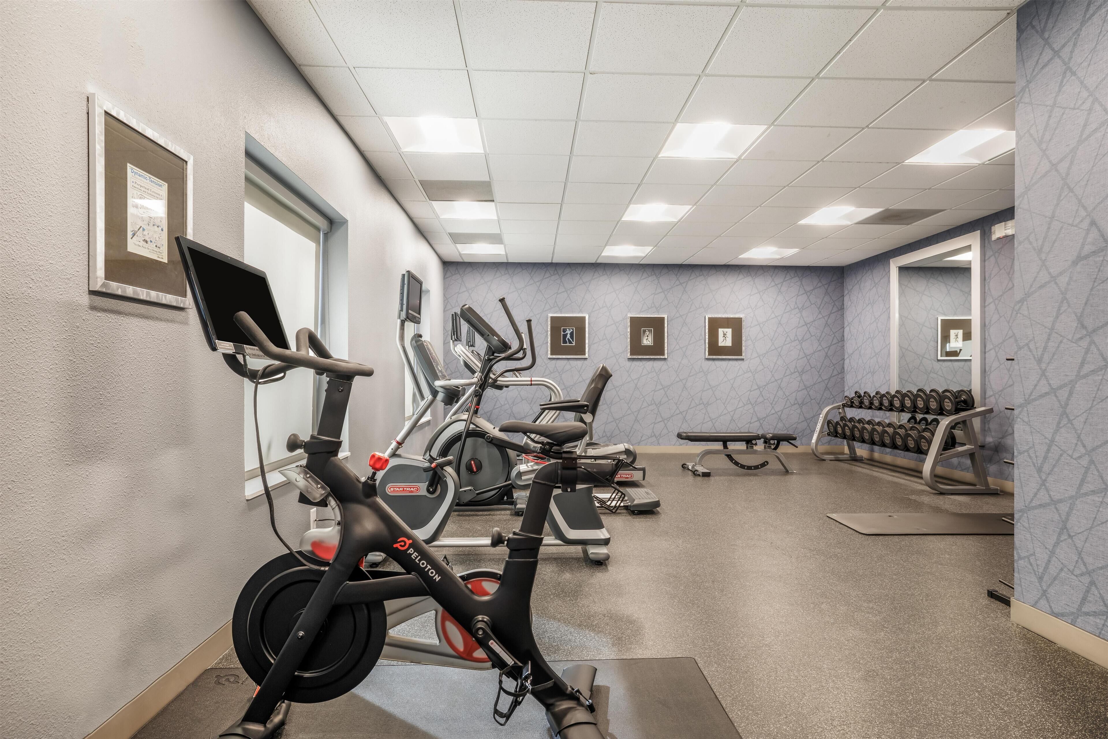 Uma academia com bicicletas ergométricas, esteiras e halteres.
