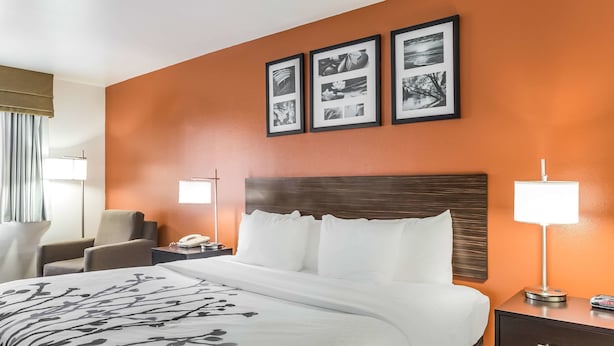 Quarto de hotel com uma cama grande, cabeceira, mesa de cabeceira, abajur, uma cadeira e quadros nas paredes.