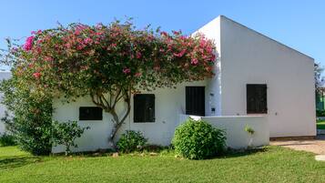 Um prédio branco com duas janelas e uma árvore com flores cor-de-rosa em frente.