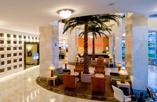 Um lobby com palmeira, áreas de estar e uma mesa de recepção.