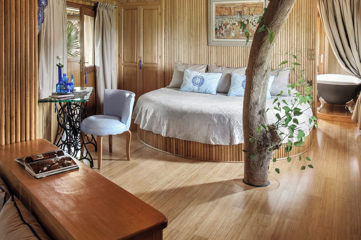 Interior de madeira com uma cama, uma cadeira, uma mesa e uma planta.