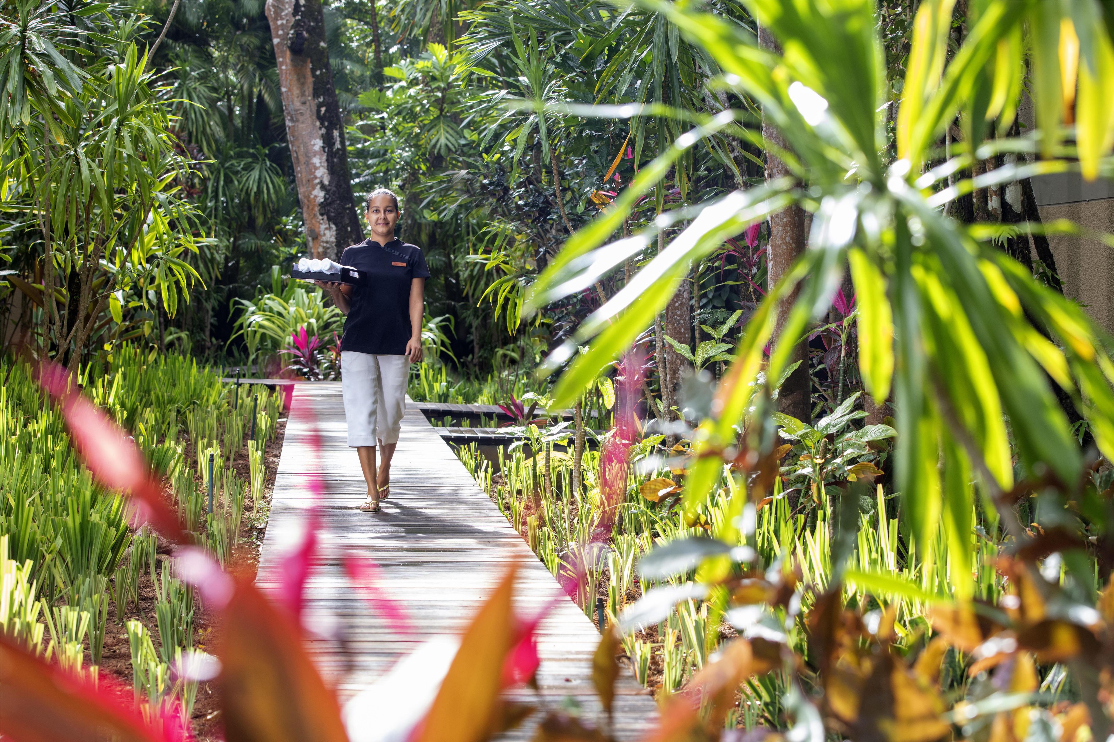 Uma pessoa caminhando em um caminho de madeira cercada por vegetação exuberante.