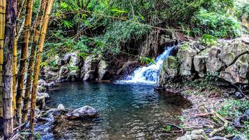 Piscina natural