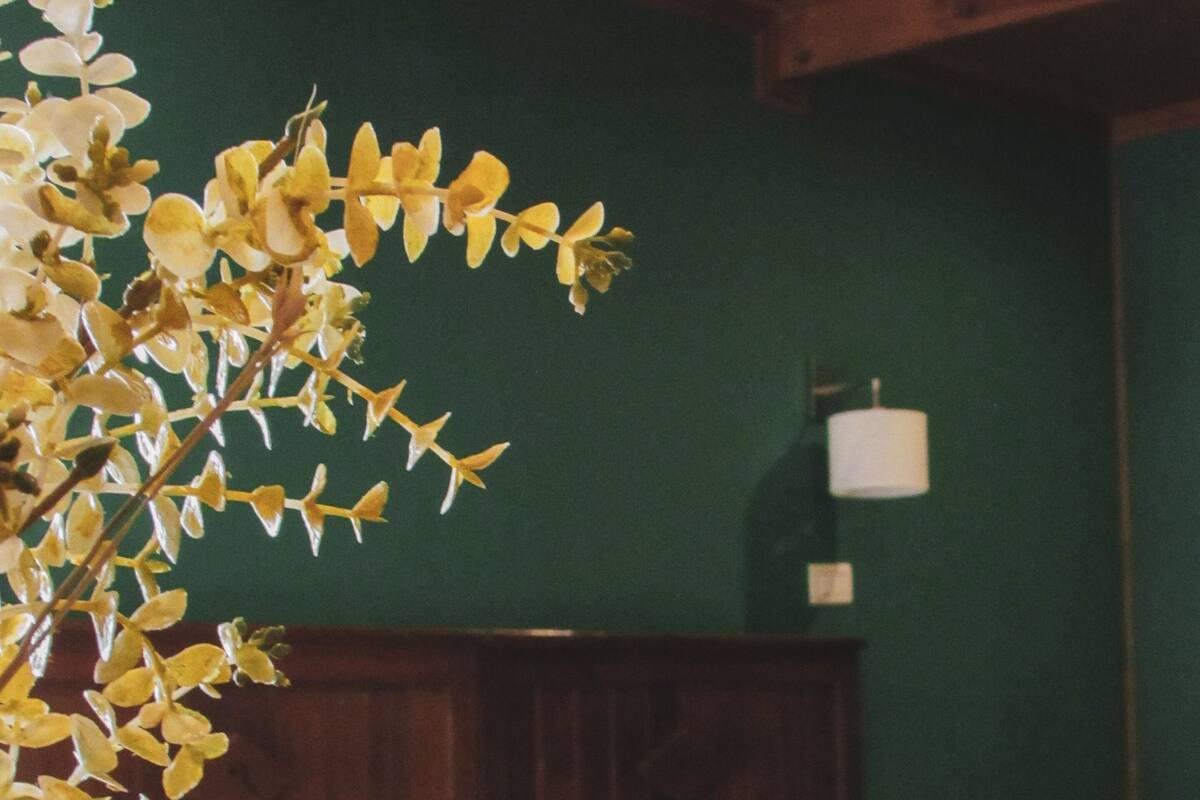Quarto com cabeceira de madeira, cama com almofadas estampadas e uma planta decorativa.