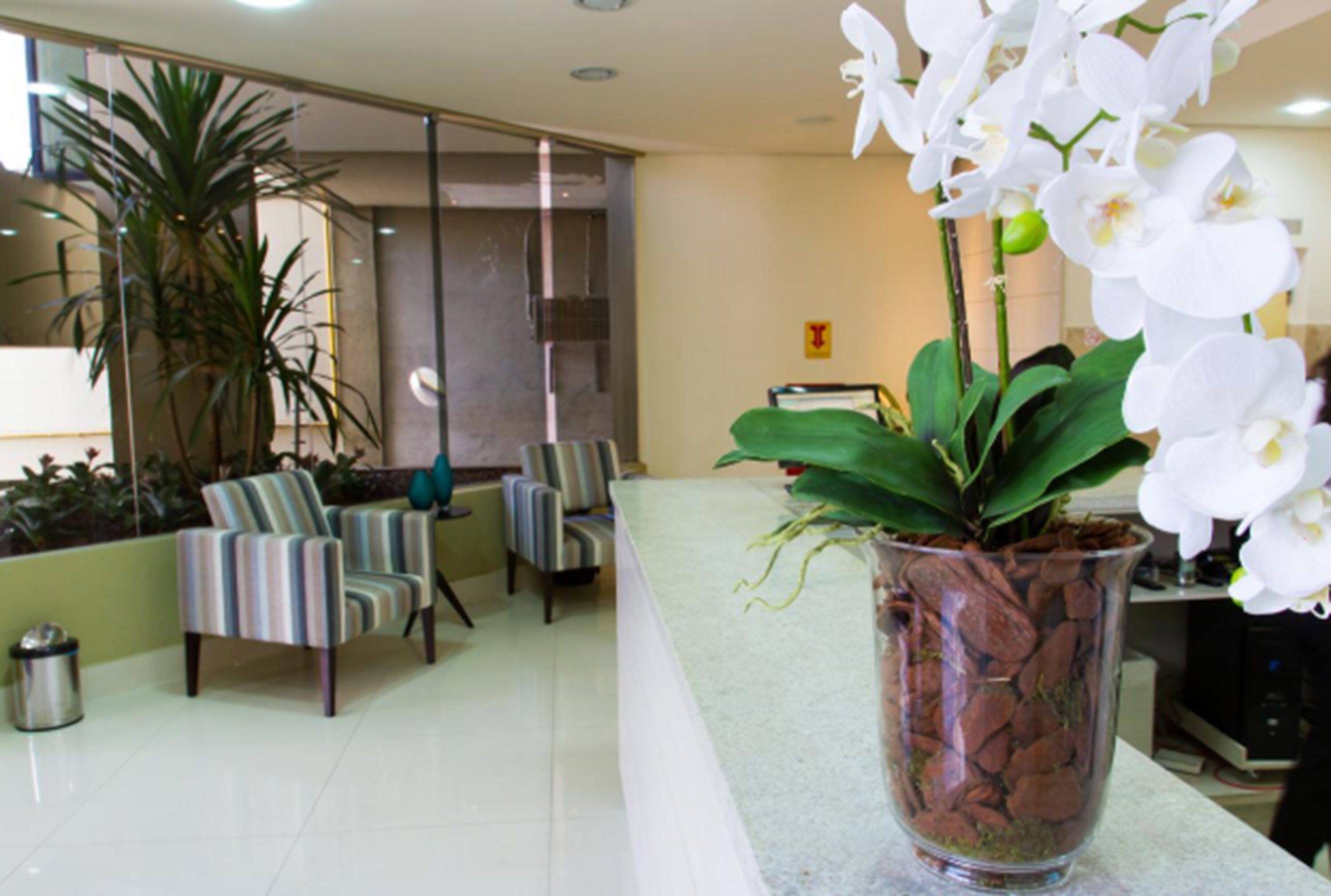 Uma sala de estar moderna com poltronas listradas, uma mesa de centro e uma orquídea em vaso.