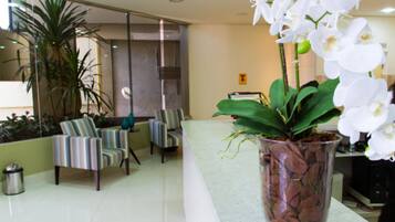 Uma sala de estar moderna com poltronas listradas, uma mesa de centro e uma orquídea em vaso.