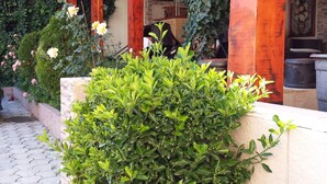 Um espaço ao ar livre coberto, com teto de madeira, parede de pedra e diversas plantas, incluindo rosas e arbustos verdes.