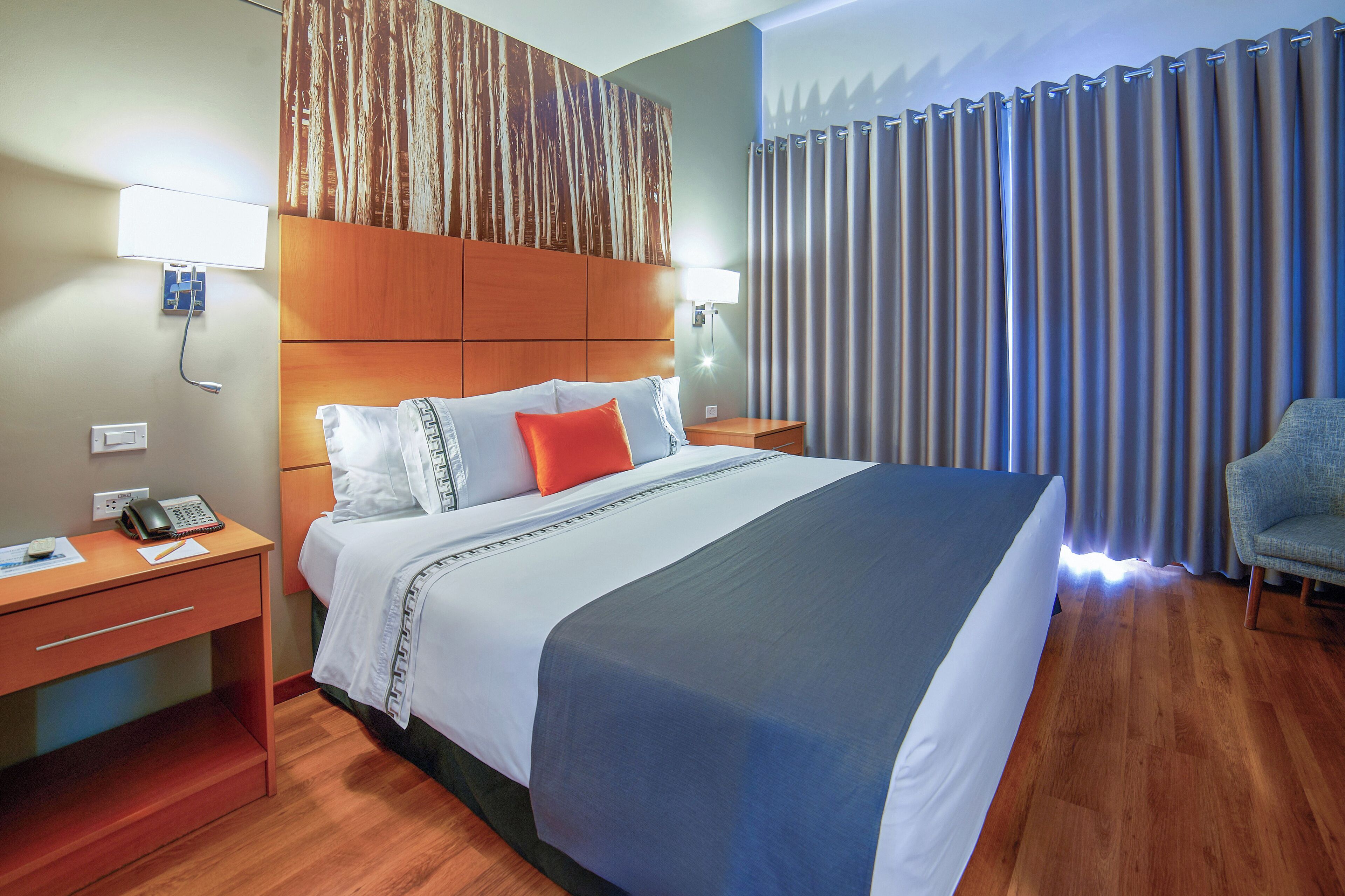 Quarto Standard, 1 cama king-size | Minibar, cortinas/cortinados opacos, Wi-fi grátis 