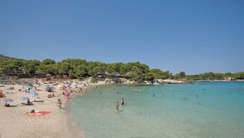Uma praia com águas turquesa cristalinas, pessoas nadando e tomando sol, e um morro coberto de vegetação ao fundo.