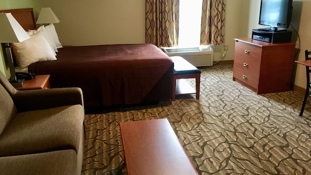 Quarto de hotel com uma cama, um sofá, uma mesinha, uma televisão em um móvel e carpete estampado.