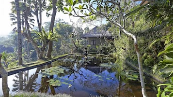 Vista da propriedade