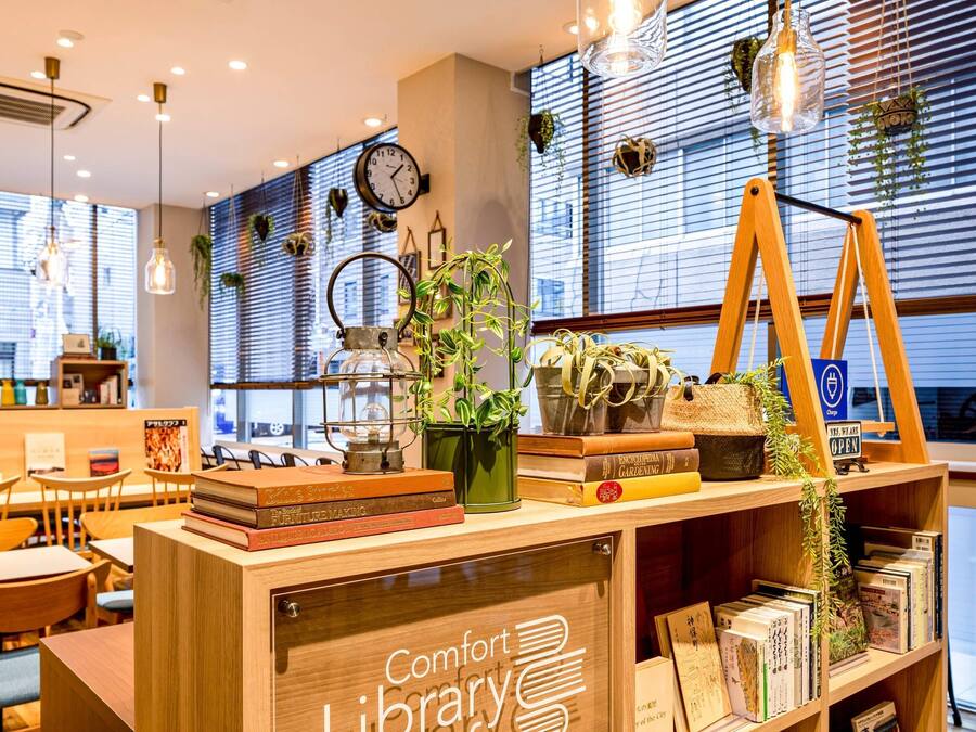 Comodidade do alojamento