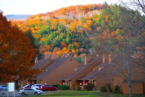 Cold Spring Resort Reviews, Deals & Photos 2023 - Expedia