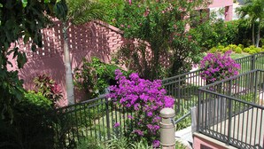 Um edifício rosa com telhado vermelho, rodeado por vegetação exuberante e flores roxas.