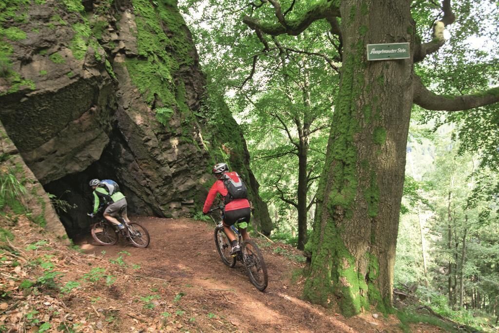 Dois ciclistas em uma trilha na floresta, com uma grande formação rochosa e uma placa em uma árvore.