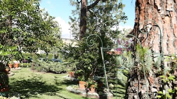Um jardim com uma árvore grande, plantas em vasos e uma estrutura espiral de metal.