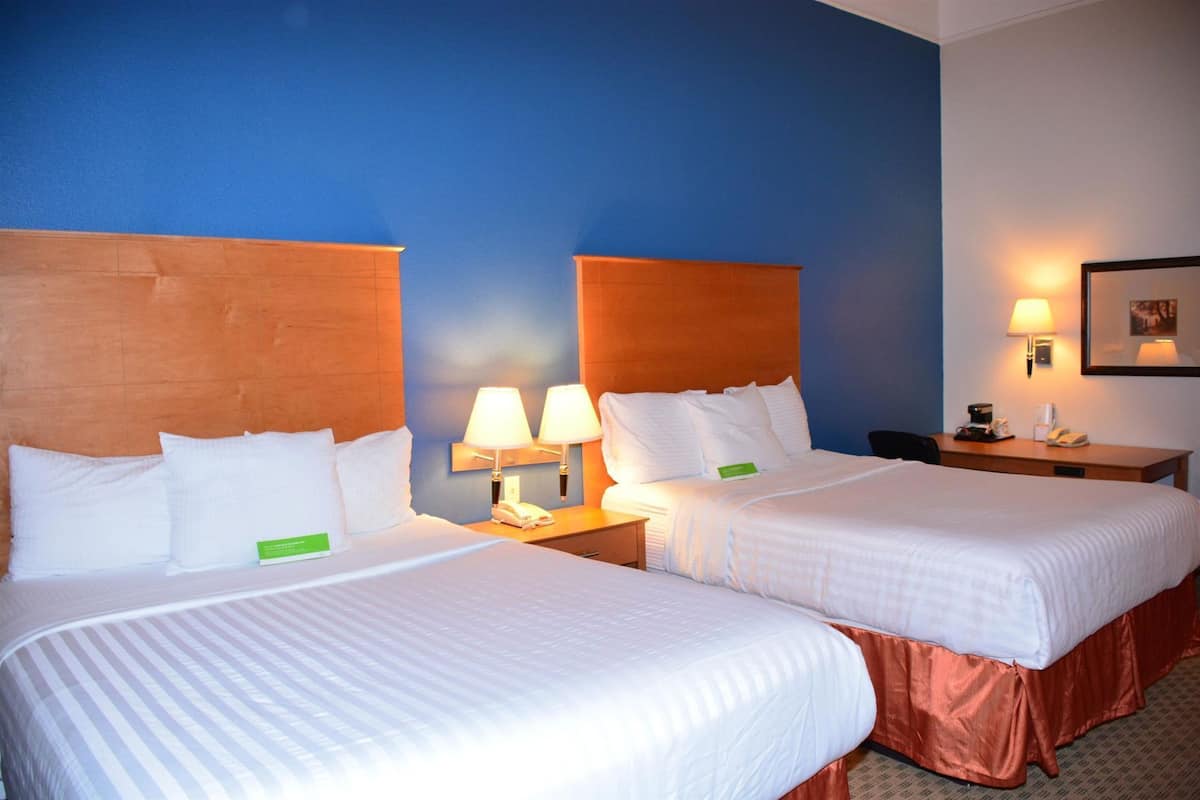 Roupas de cama premium, individualmente decorados