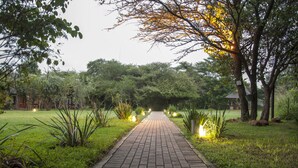 Um caminho pavimentado em um jardim, com árvores e plantas de ambos os lados.