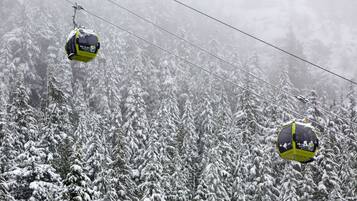 Um sistema de teleférico numa floresta nevada.