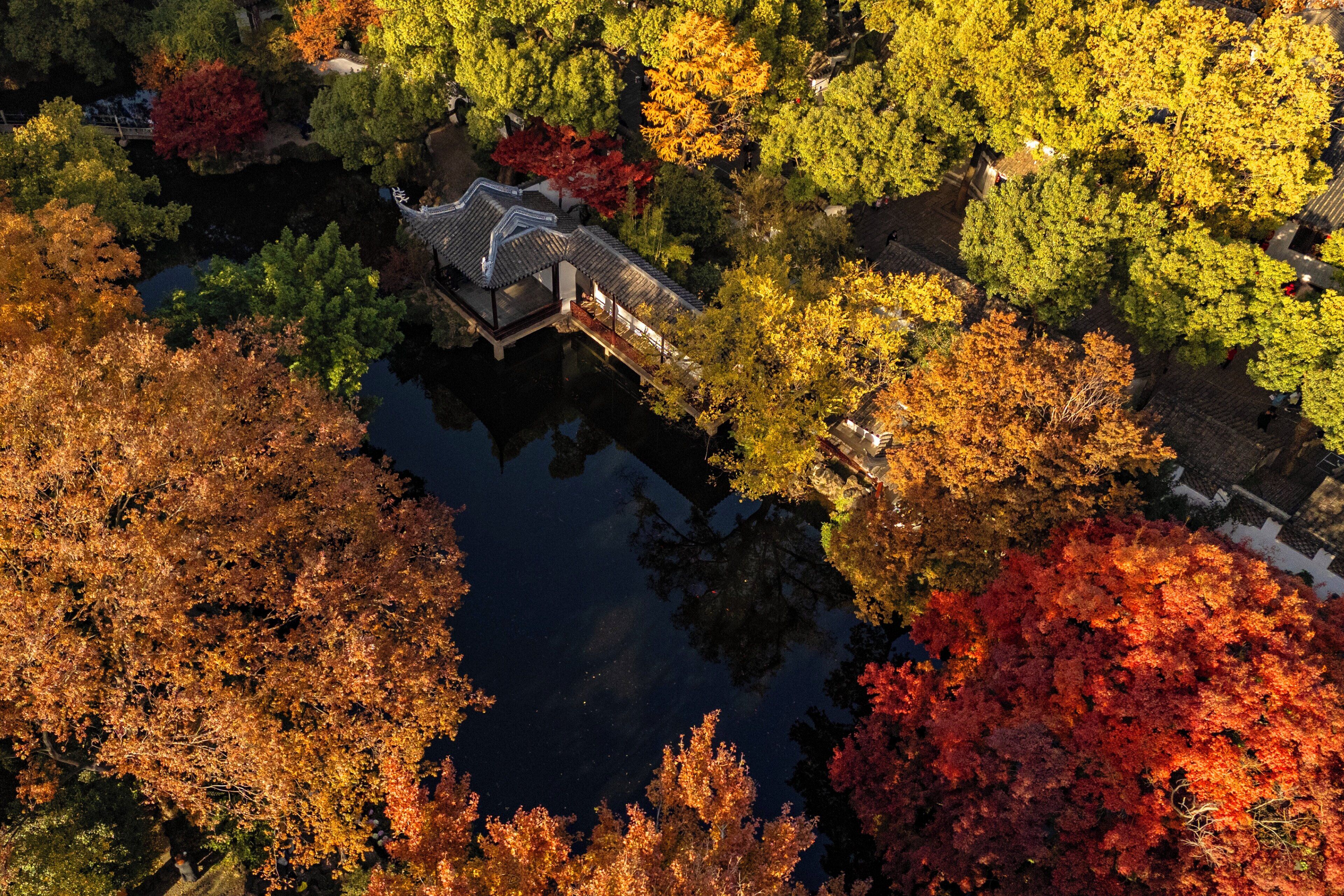 Vista aérea de um edifício tradicional japonês com um lago no centro, rodeado por árvores em diversas cores de outono.
