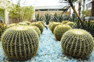 Terraço/pátio interior