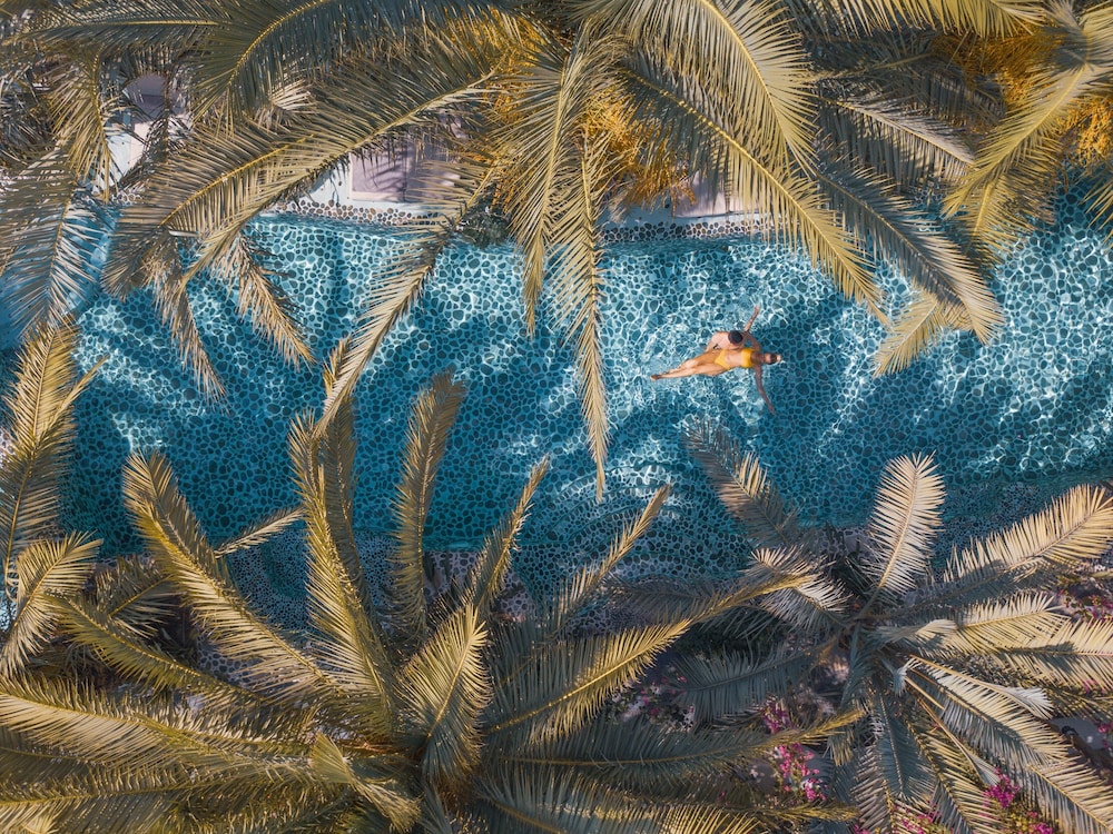 Flamingo Hotel & Spa - Pet Friendly - Ölüdeniz