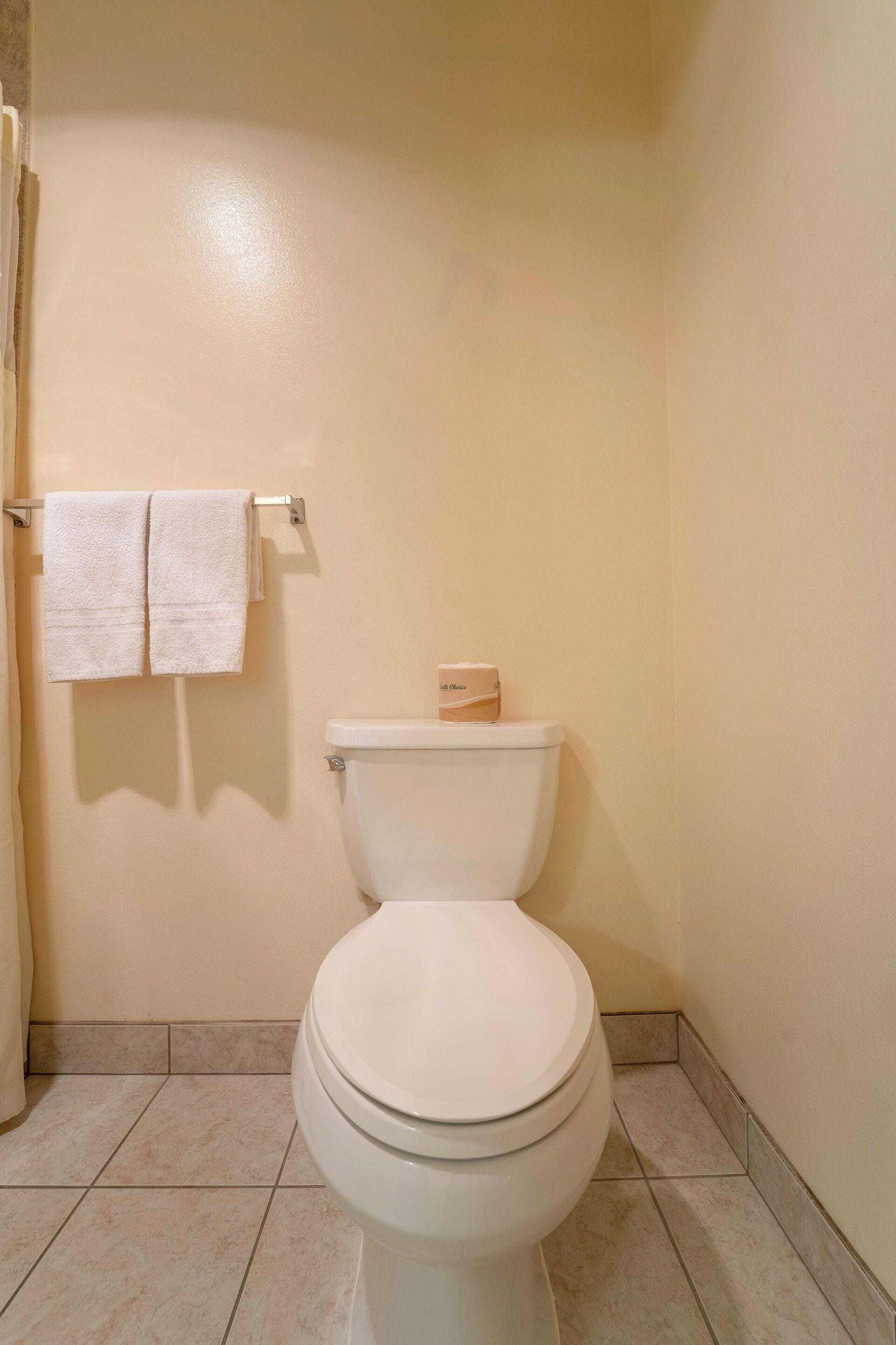 Casa de banho com sanita, um porta-toalhas com duas toalhas e rolo de papel higiénico.