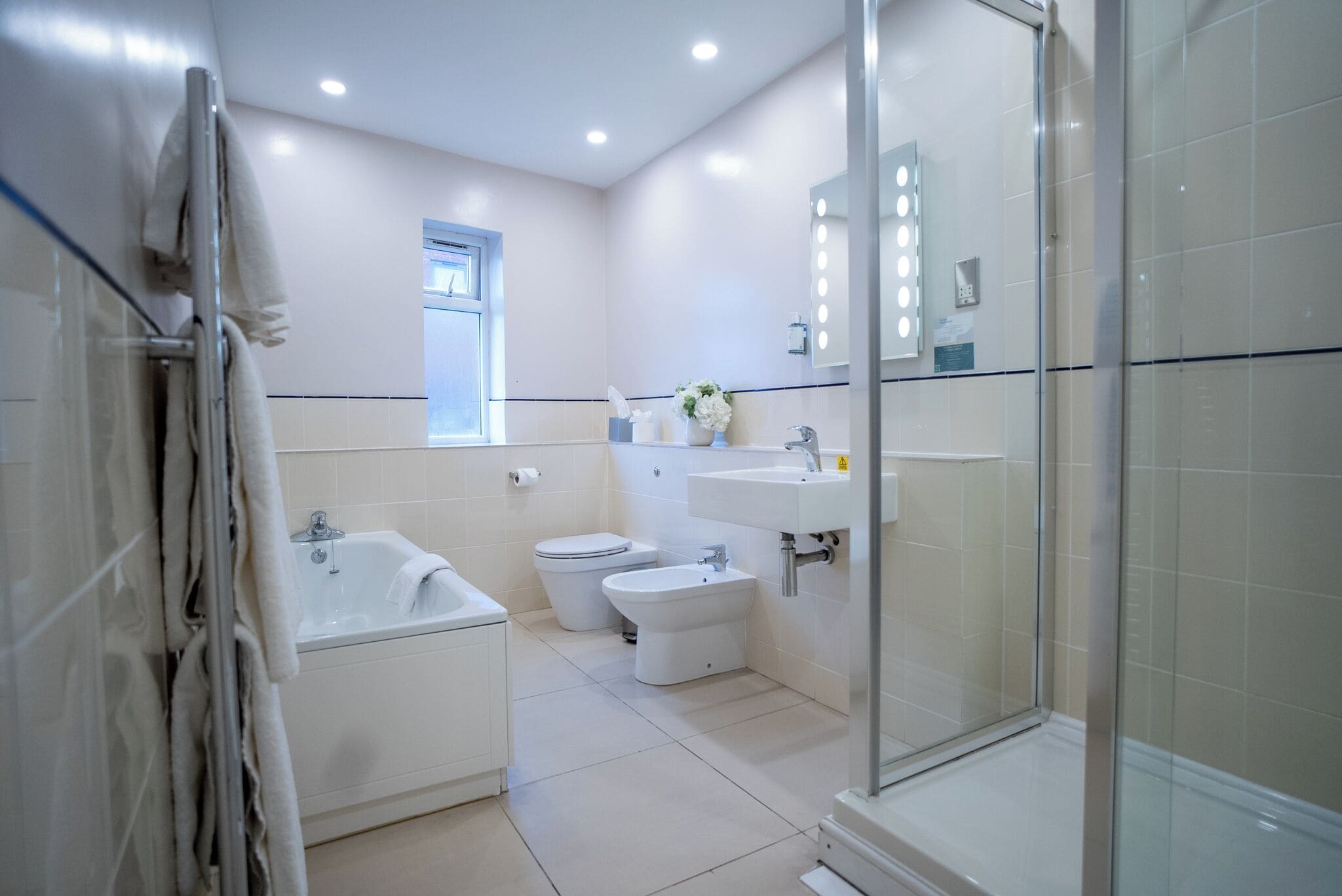 Quarto premier, 1 cama de casal (Spacious) | Banheiro | Chuveiro, produtos de toalete biodegradáveis, secador de cabelo 