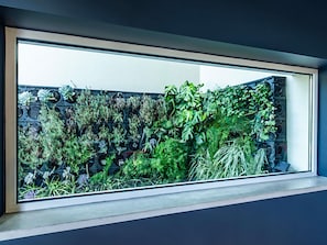 Janela com vista para um jardim vertical com diversas plantas.