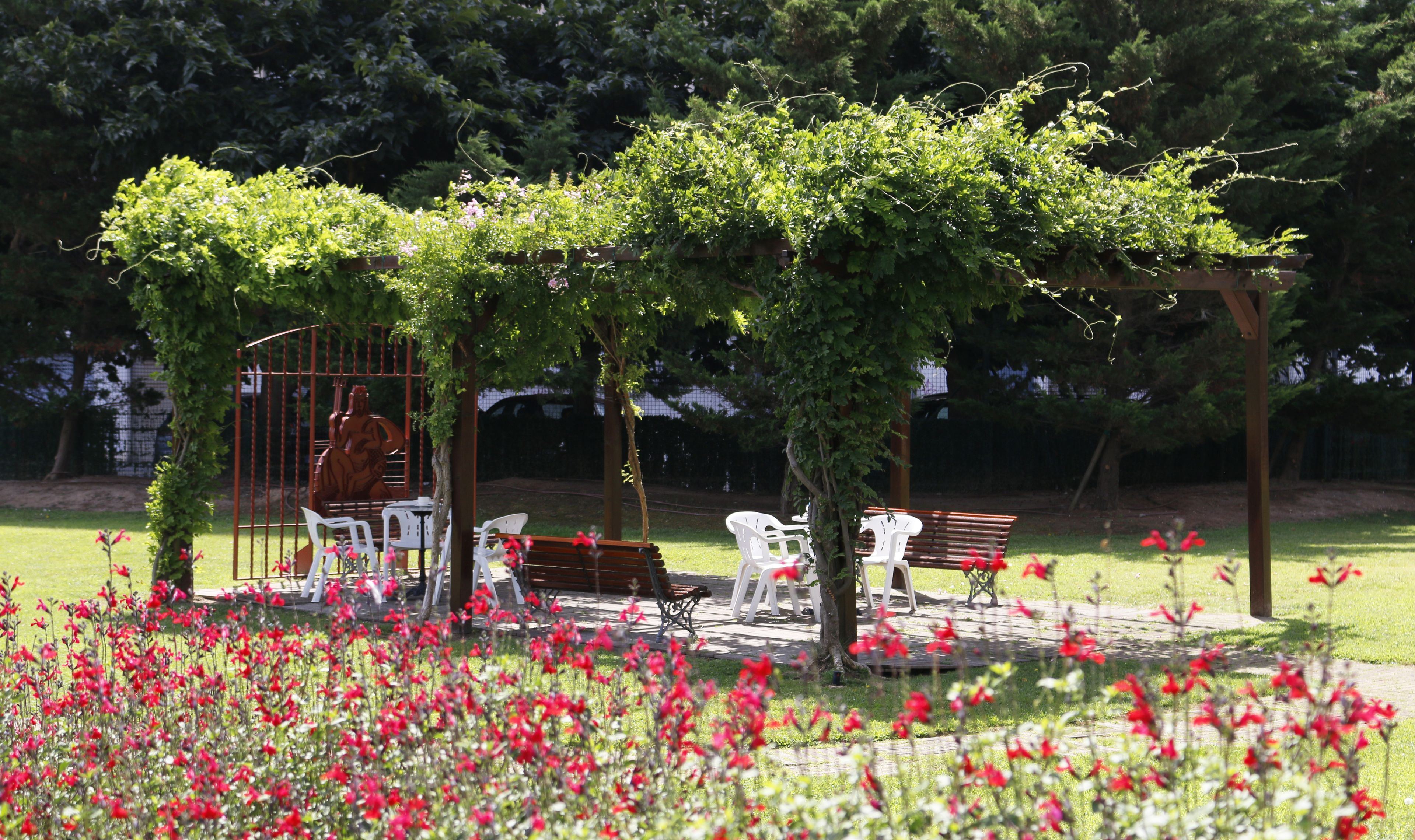 Um jardim com pérgola, bancos e cadeiras sob uma estrutura coberta por trepadeiras.