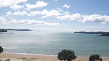 Vista costeira com praia, árvores e céu claro.