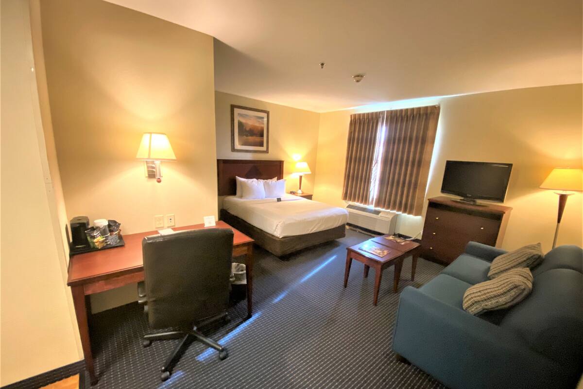 Quarto de hotel com uma cama, uma escrivaninha com cadeira, um sofá, uma televisão e uma janela com cortinas.