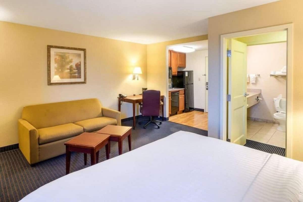 Quarto de hotel com cama, sofá, escrivaninha com cadeira, mesinha, luminária, cozinha e banheiro.