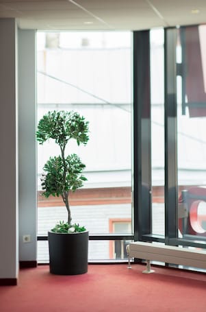 Corredor. Dodo Hotel