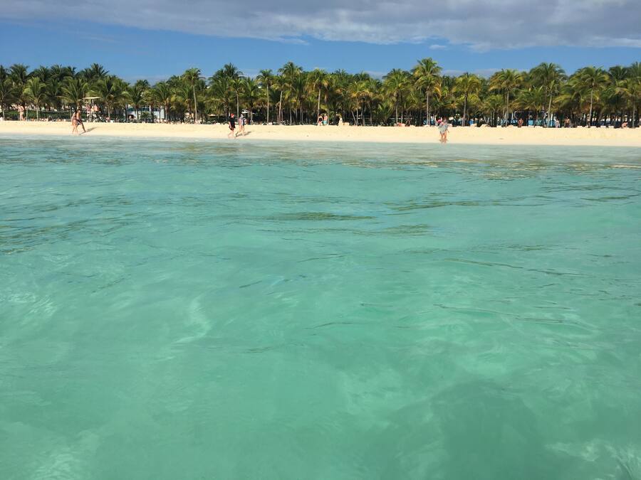 Uma praia com águas turquesa cristalinas, palmeiras e uma orla arenosa.