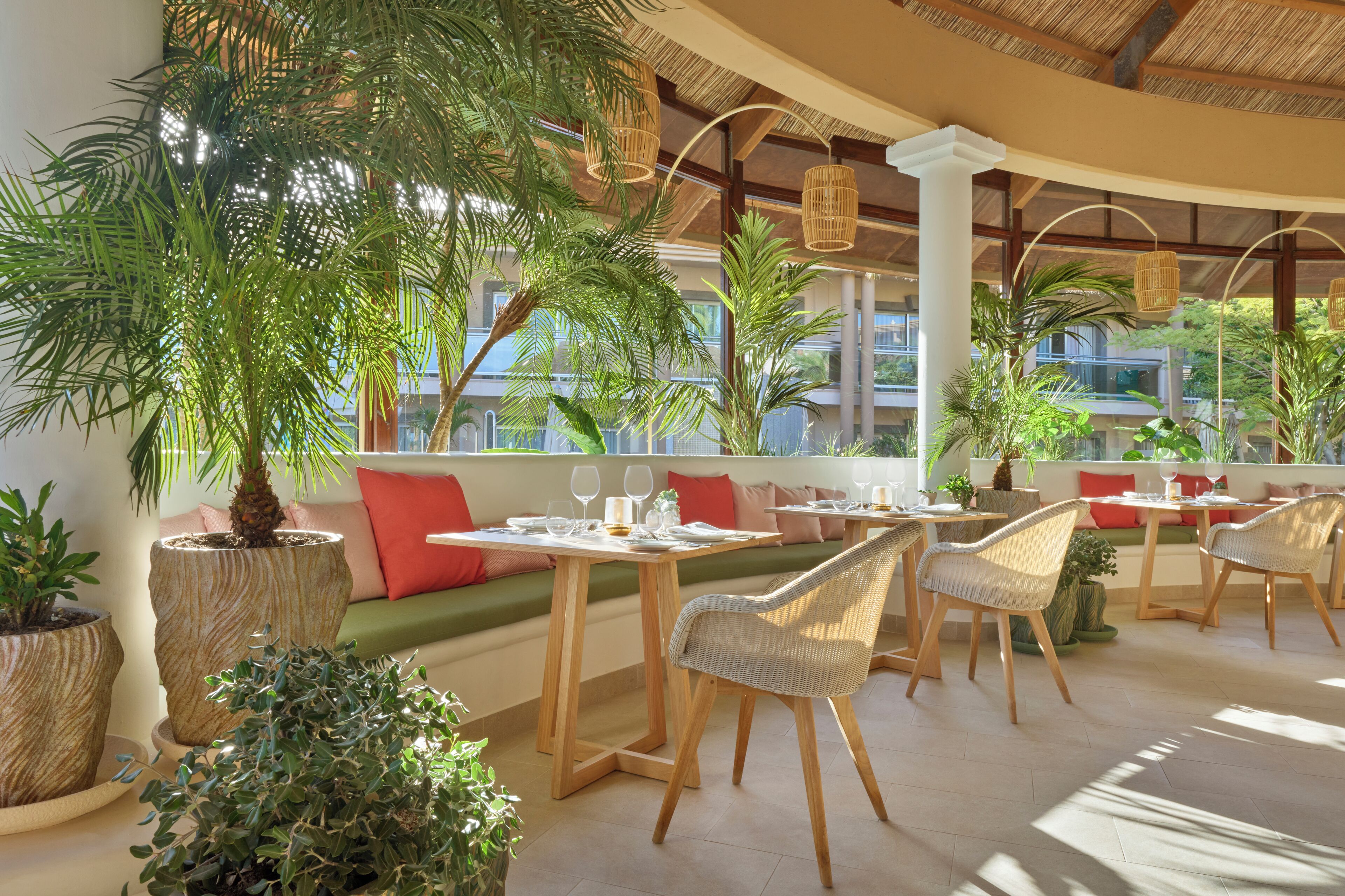 Restaurante com mesas e cadeiras de madeira, plantas em vasos grandes e vista para o exterior.