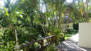 Terrenos do alojamento