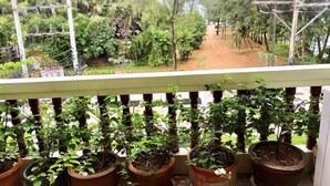 Varanda com vasos de plantas e vista para um jardim com diversas árvores e um caminho de terra.