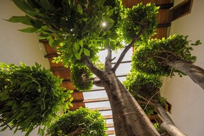 Terraço/pátio interior