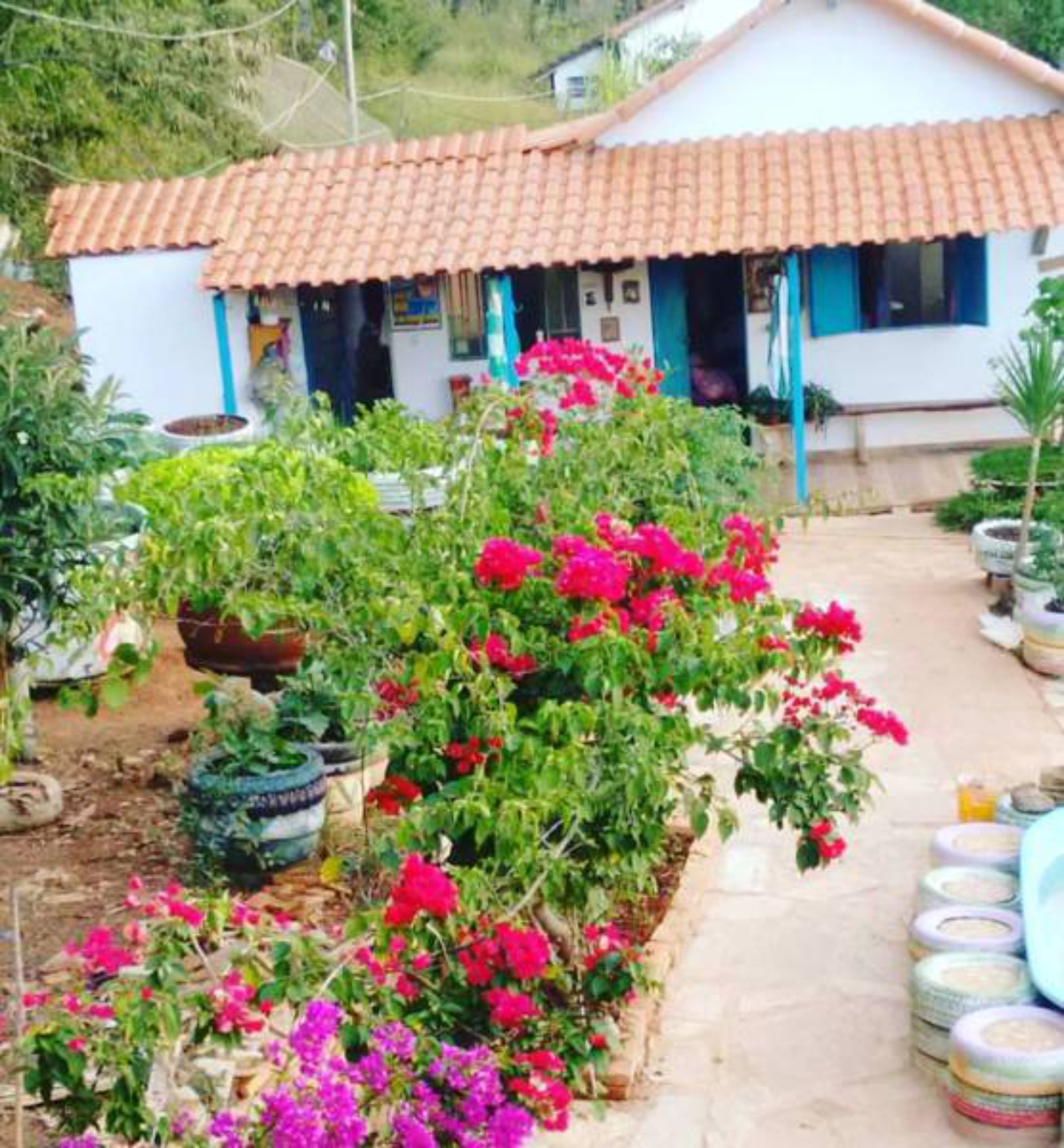 Vista da propriedade