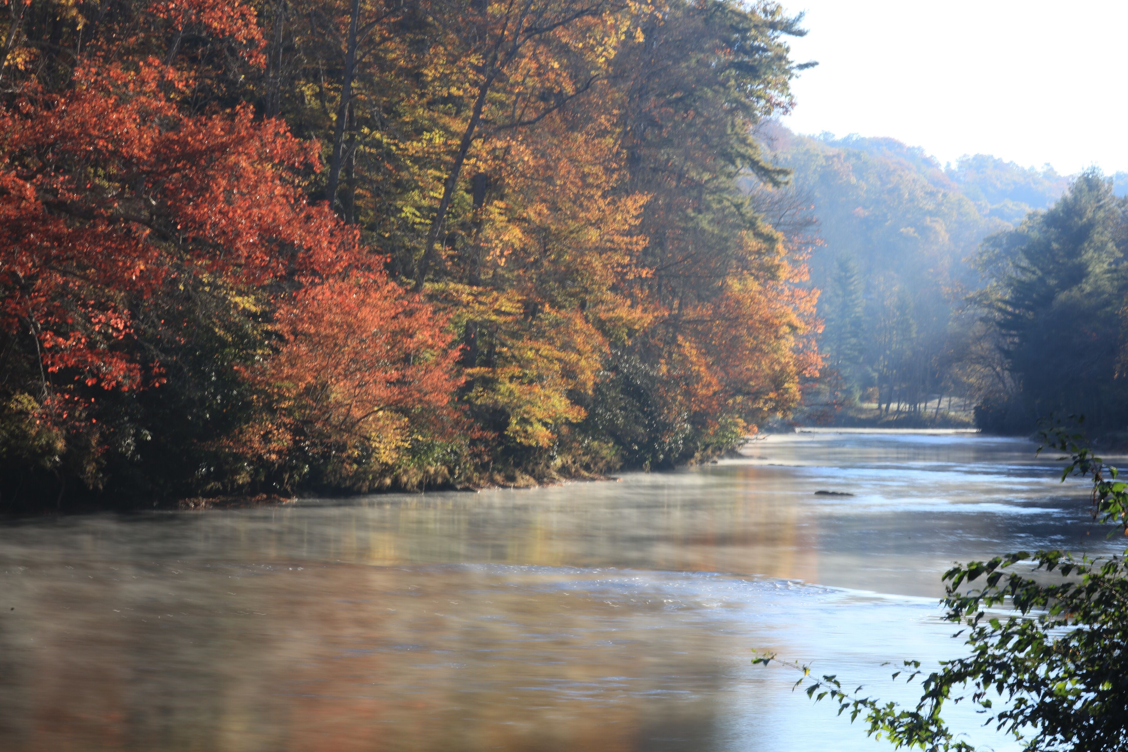 Custom Log Home on New River Ridge - Ashe County | Vrbo
