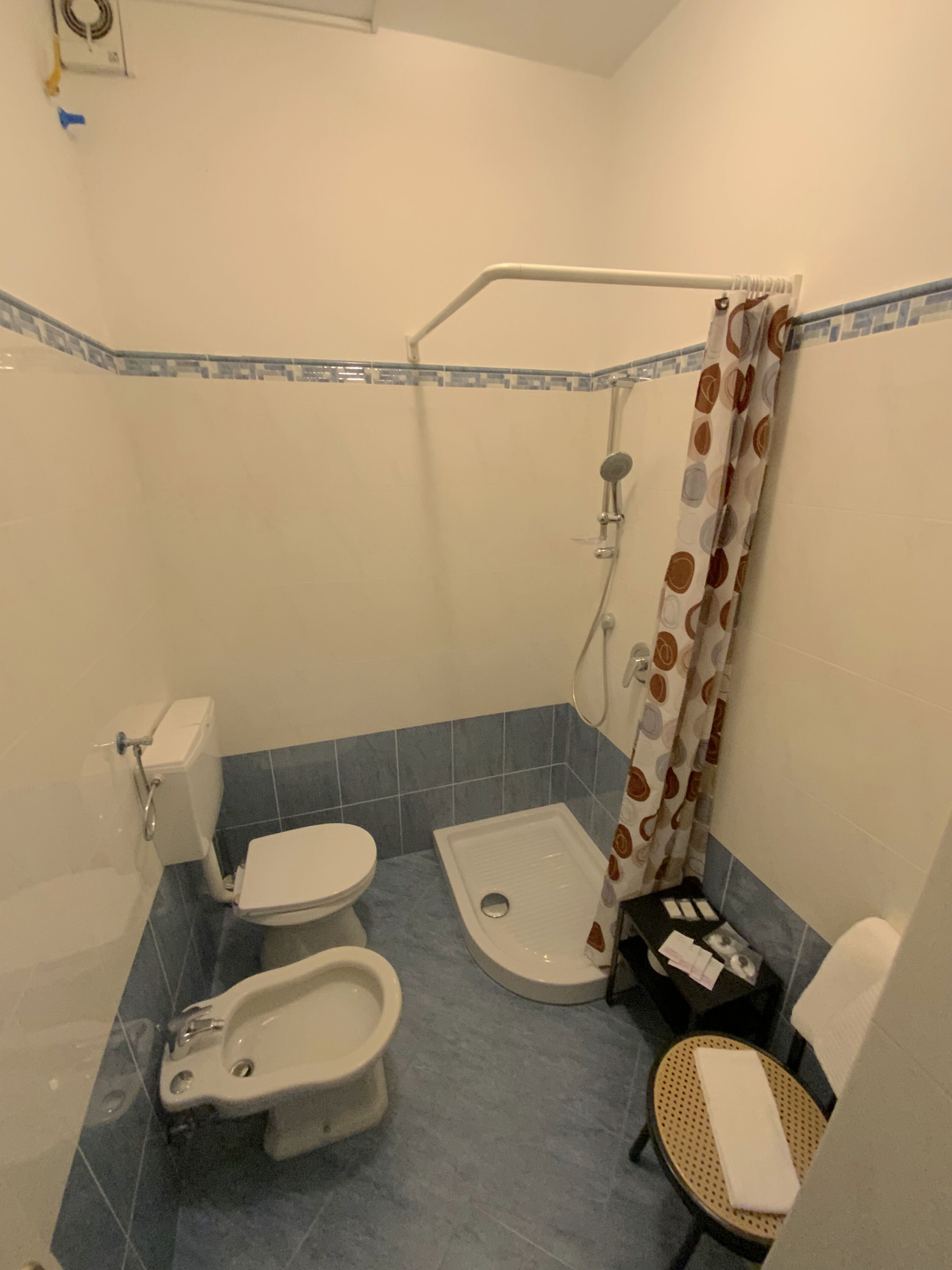 Uma casa de banho pequena com sanita, bidé e chuveiro.