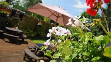 Terraço/pátio