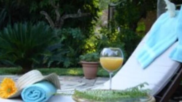 Um jardim com espreguiçadeira, toalha enrolada, copo de suco de laranja e um vaso com planta.