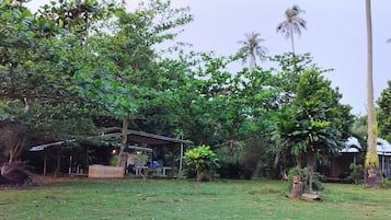 Jardim
