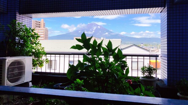 Varanda com vista para montanha, plantas em vasos e unidade de ar condicionado.