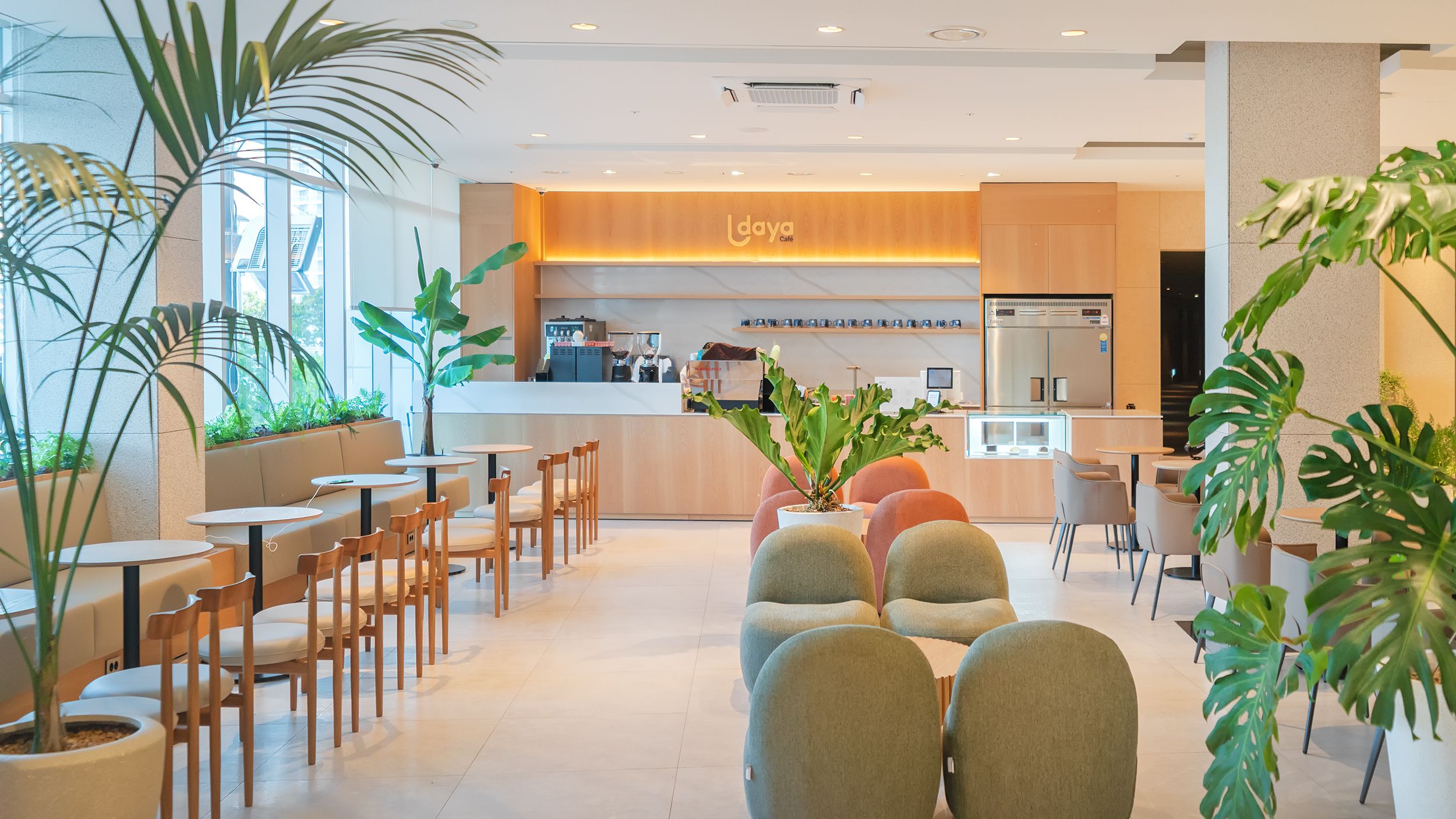 Interior moderno de café com assentos, balcão de café e diversas plantas.