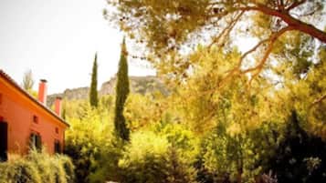 Um edifício rodeado por árvores e vegetação.