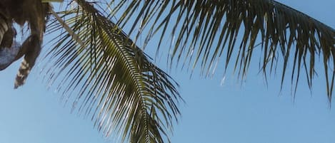 Na praia, caiaque, remo/canoagem